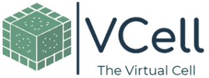 VCell- Modeling & Analysis Software – Virtual Cell Modeling & Analysis ...