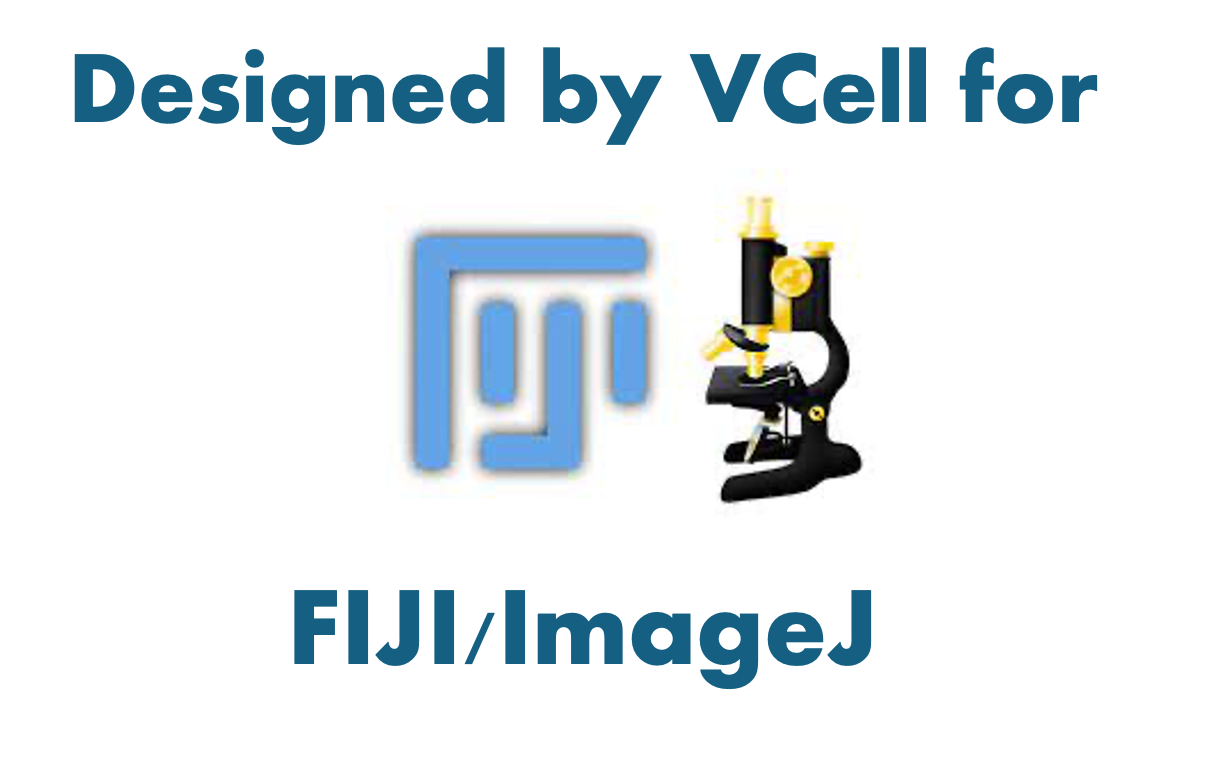 FIJI/ImageJ VCell Simulation Results Viewer Plugin – VCell- Modeling & Analysis Software
