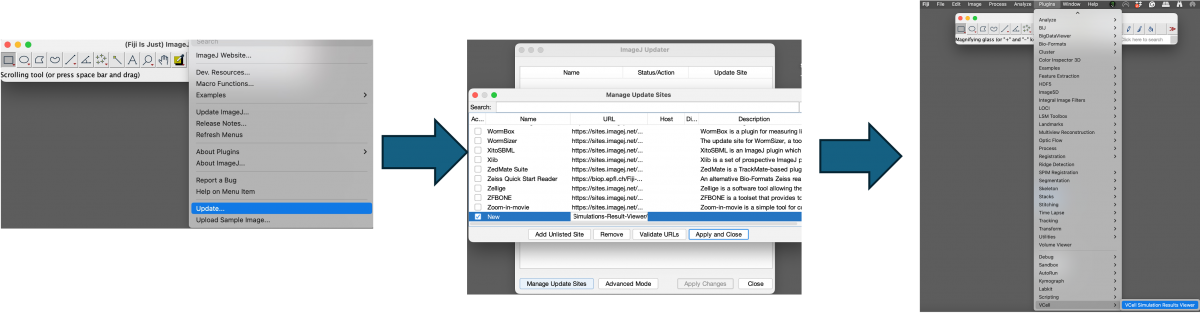 FIJI/ImageJ VCell Simulation Results Viewer Plugin – VCell- Modeling & Analysis Software